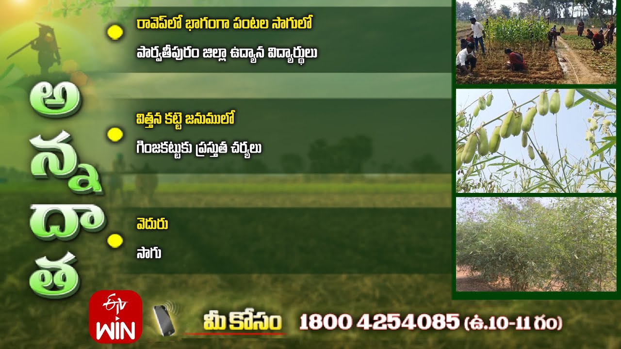 10th March 2025 | Annadata | అన్నదాత | Full Episode | ETV Telugu - YouTube