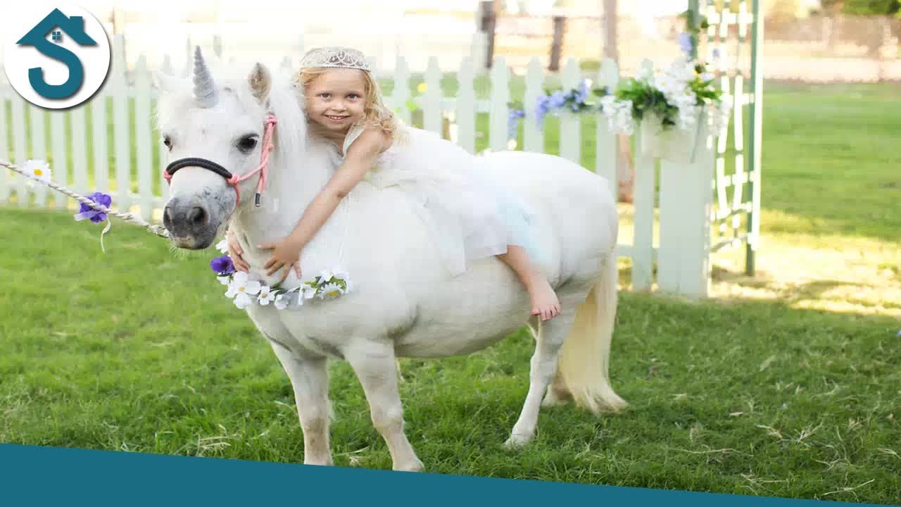 Tom Horn Interview - Story Of Whispering Ponies Ranch - YouTube