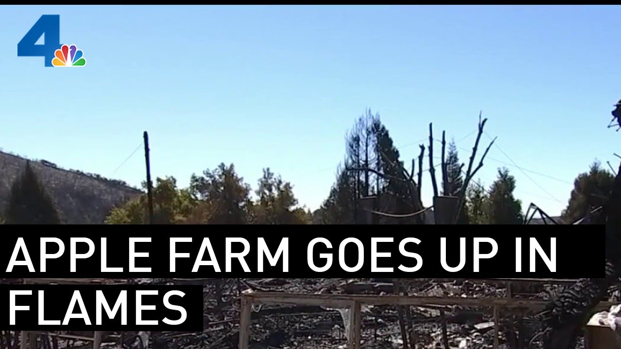 Popular Apple Farm Goes Up In Flames | NBCLA - YouTube
