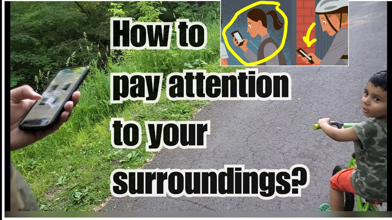 How to build your children's observation skills | Early childhood ...