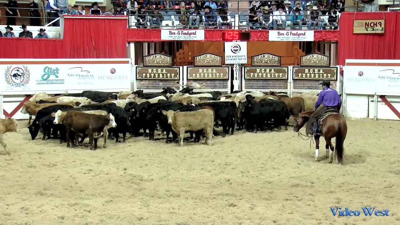 Smooth Talkin Style - 2014 NCHA Futurity - Open Finals - Score: 225 ...