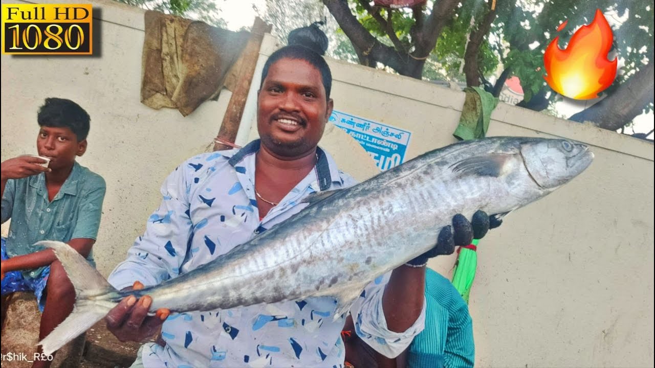 KASIMEDU 🔥AMAZING CUTTING | BIG VANJARAM FISH CUTTING🐟 | FISH CUTTING ...