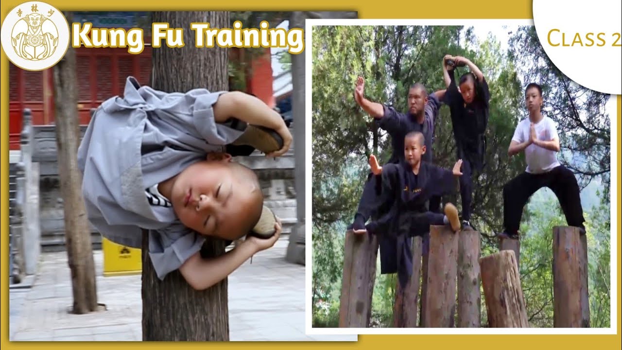 Martial Arts Training for Beginners at Home | class 2 | Kungfu training ...