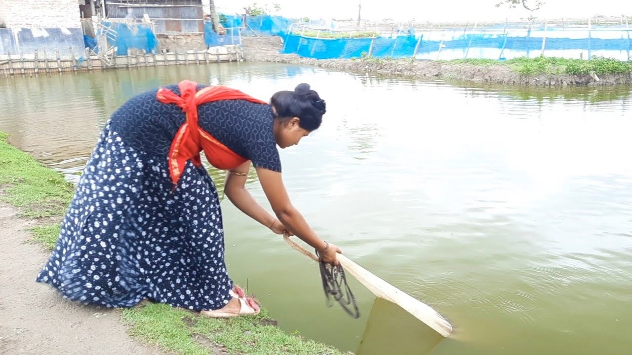 Best Net Fishing Video||Young Girl Catching Fishing With A cast Net ...