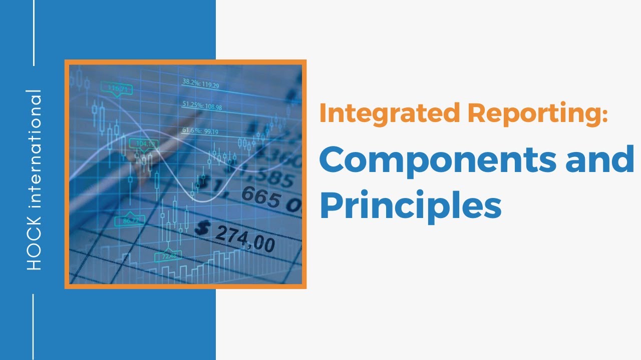 Integrated Reporting: Components and Principles - YouTube