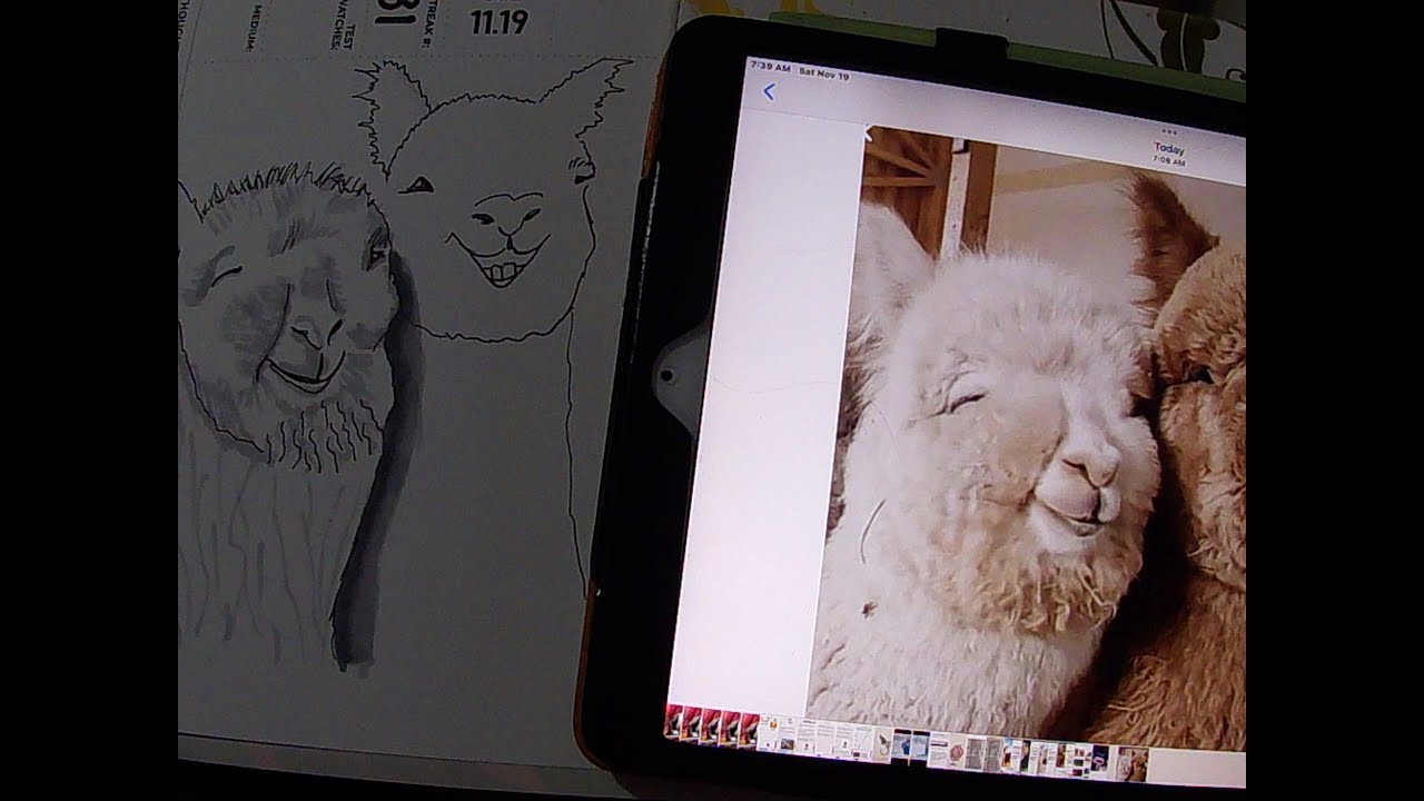 "WOOL'' Simple Daily Drawing 11-19-2022 - YouTube