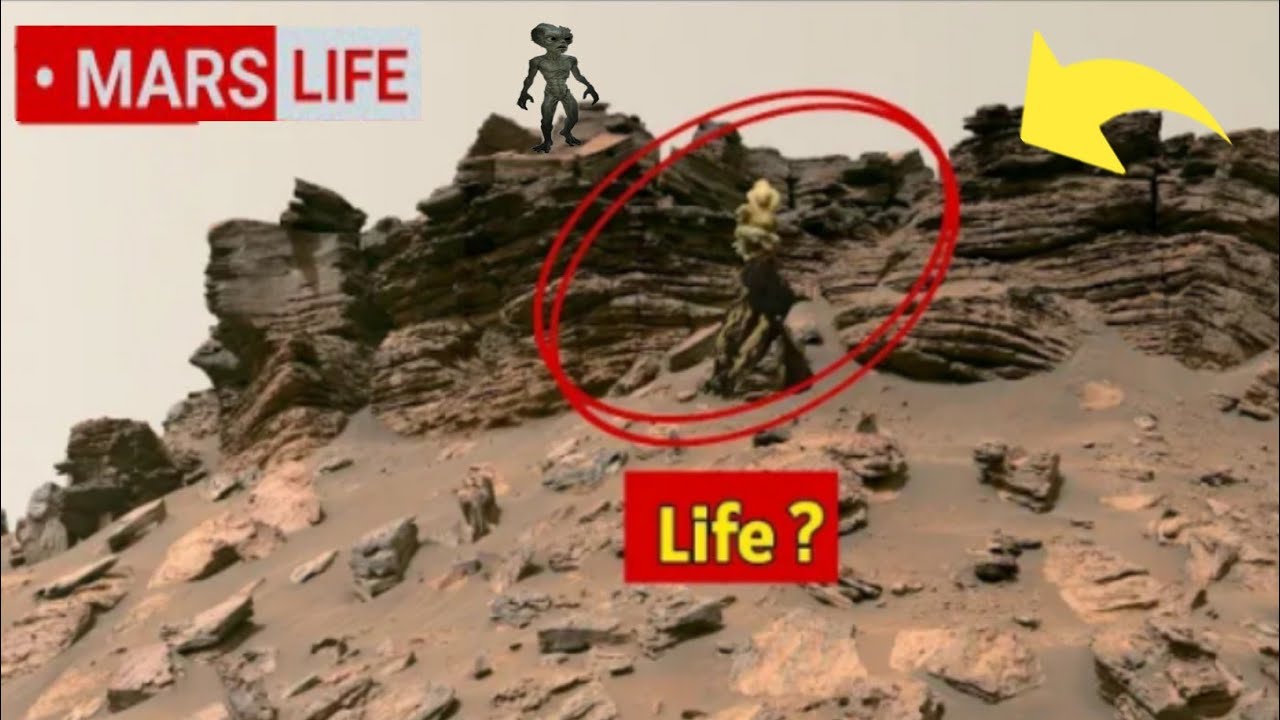 NASA Mars Rover Perseverance Sent Most Incredible Footage Of Mars 2025 ...