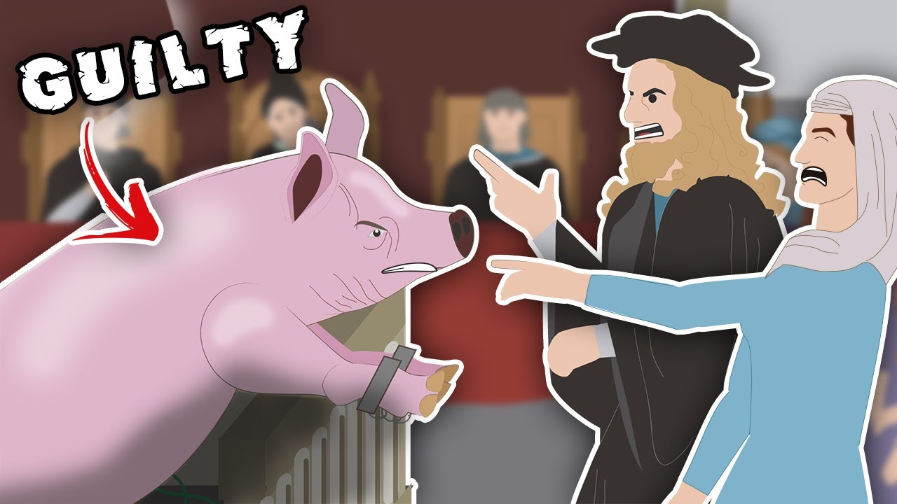 Why was a Pig put on trial in Medieval Europe? (Strange History) - YouTube