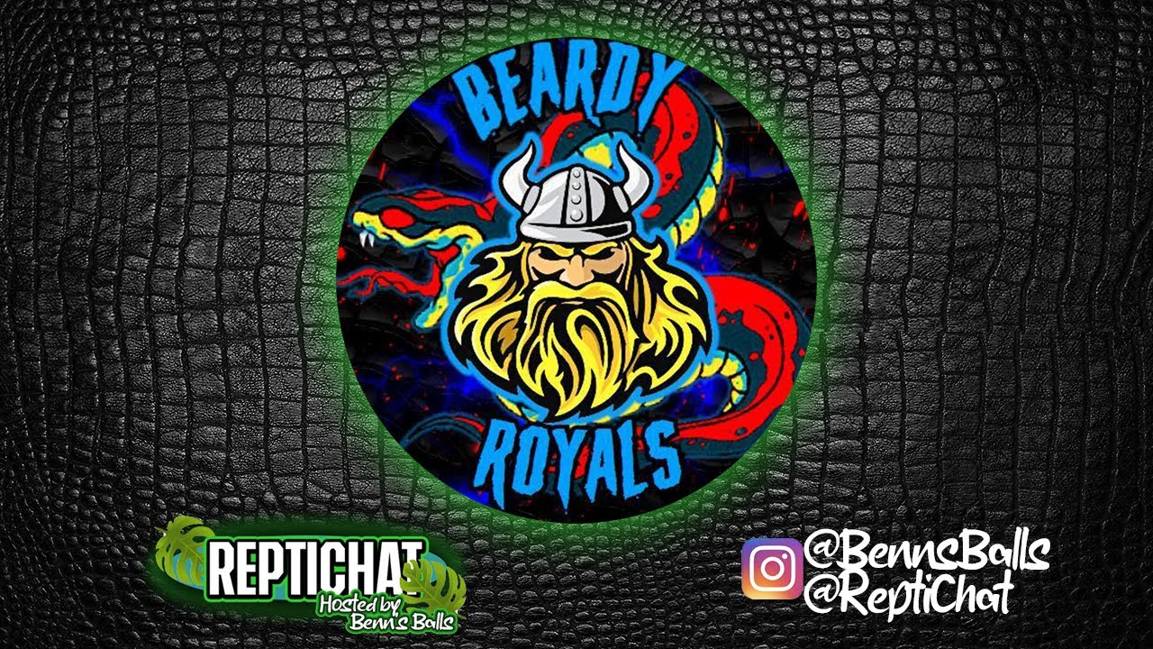 ReptiChat #Ep9 - Jack Tate of Beardy Royals - Ball Python Keeping and ...
