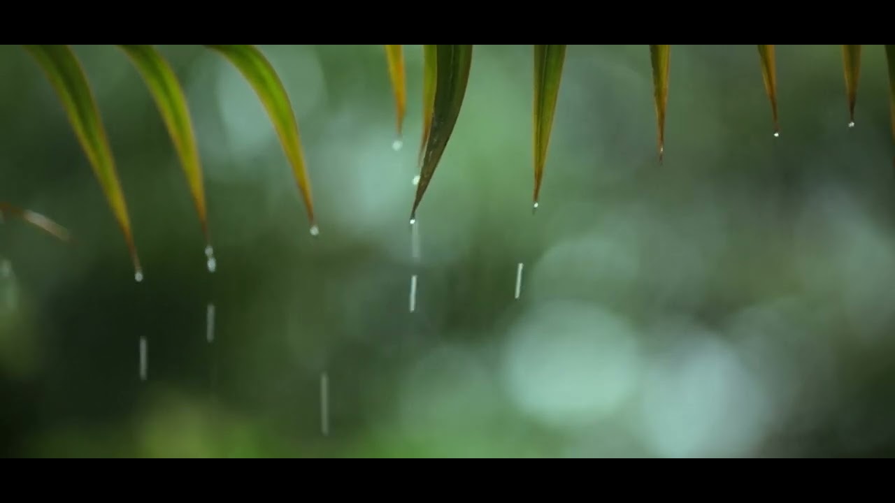 Rain relax - YouTube