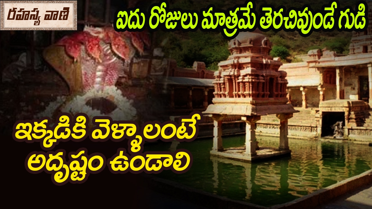 History Of Saleshwaram Temple || సలేశ్వరం గుడి రహస్యం? - YouTube