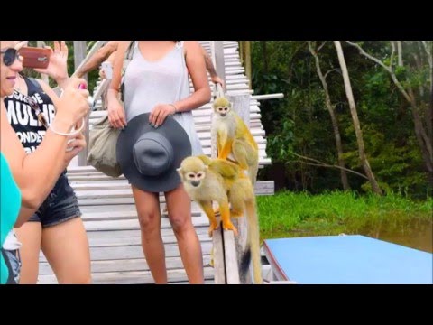 Amazon Backpackers Tours - Adventure in Amazon Brazil Jungle - Mamori Lake