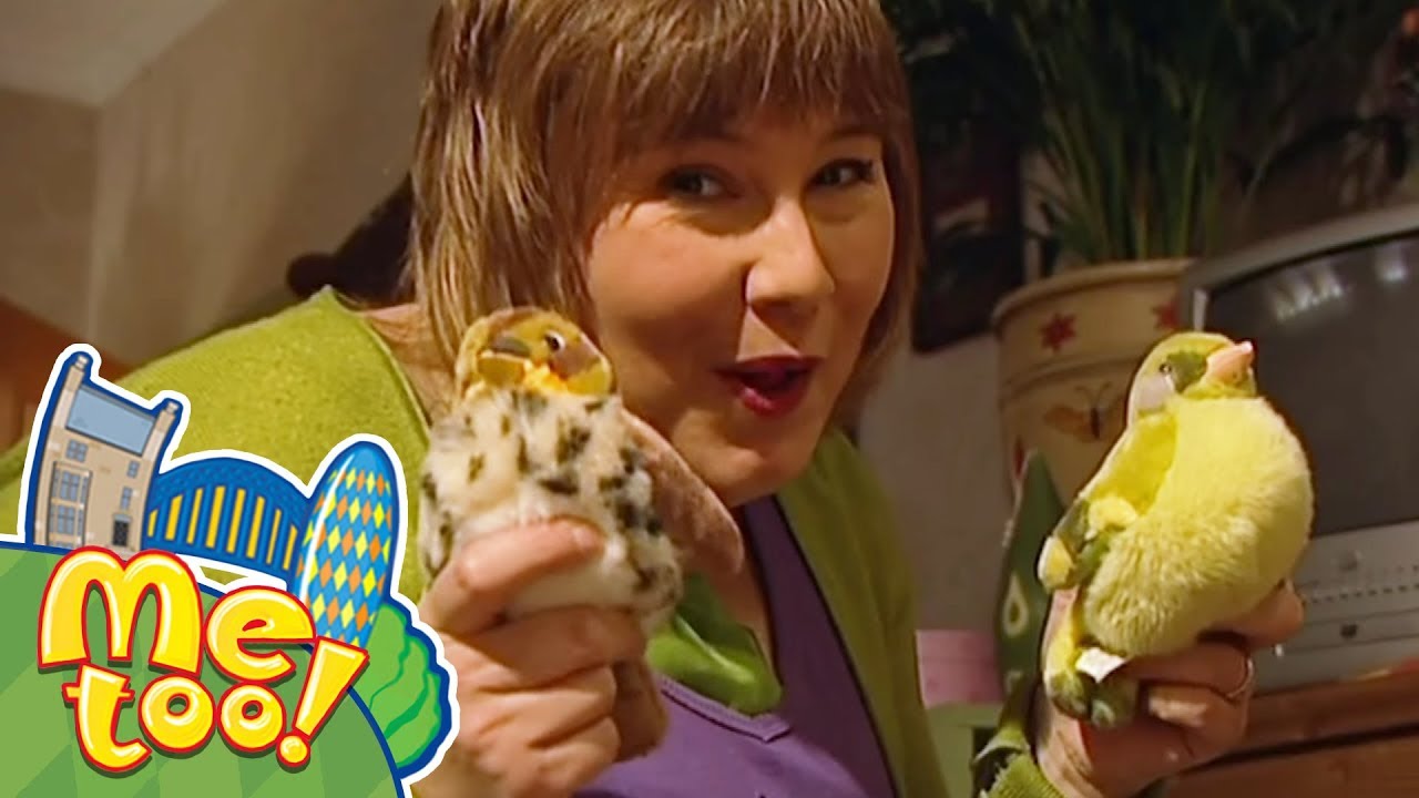 Me Too! - Animals | Full Episode | TV Show for Kids - YouTube