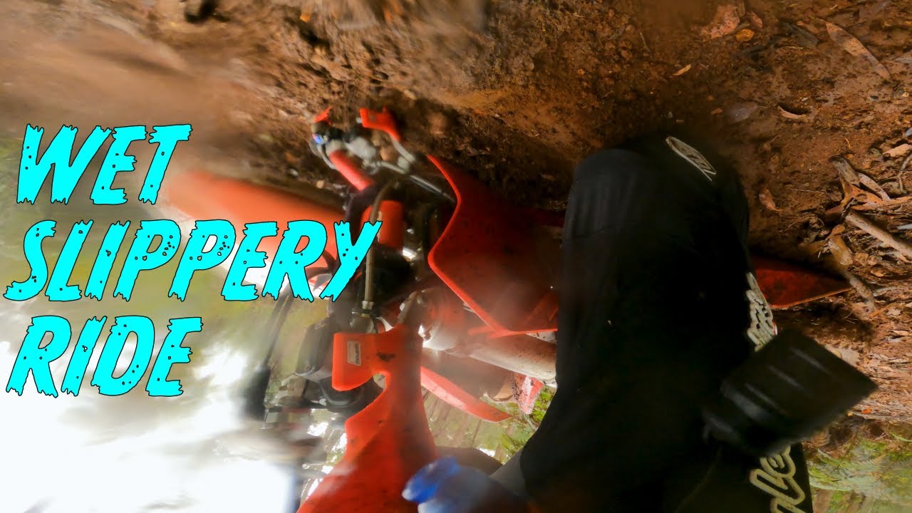 Wet and Mild Ride: Battling Cold and Slippery Logs! - YouTube