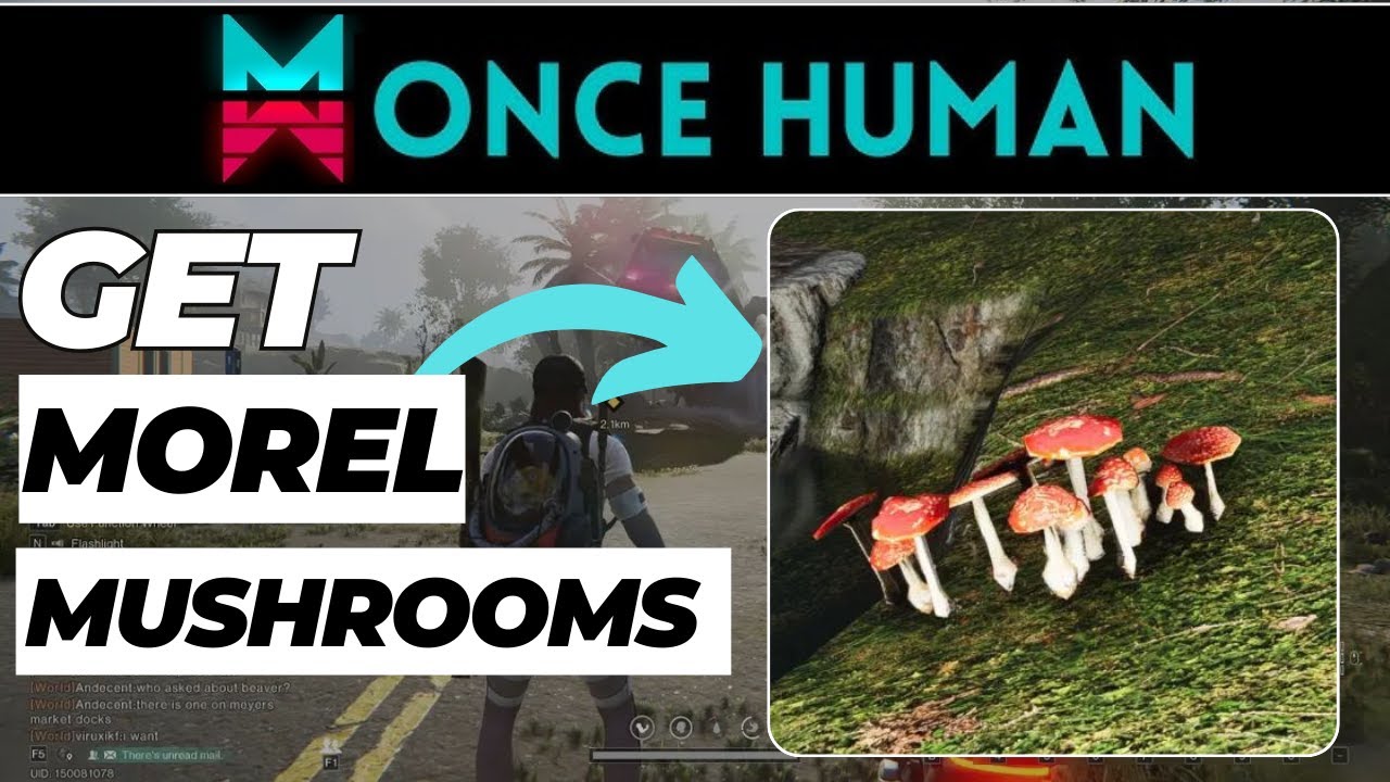 How to Get Morel Mushrooms in Once Human (2025 Updated) - YouTube