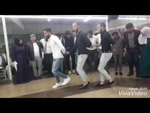 Koceri halay izlemeye değer