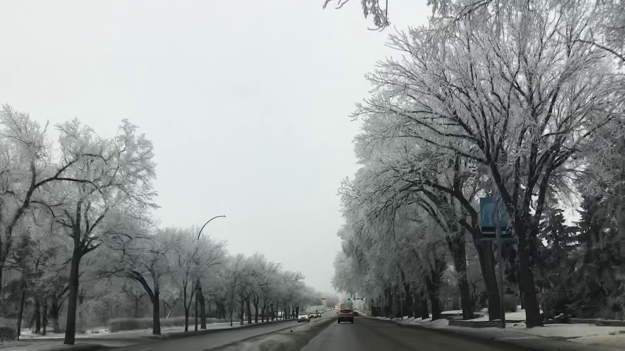 Winter Wonderland, Regina, SK, Canada - YouTube