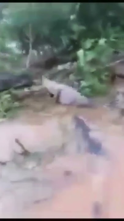 wild world - YouTube