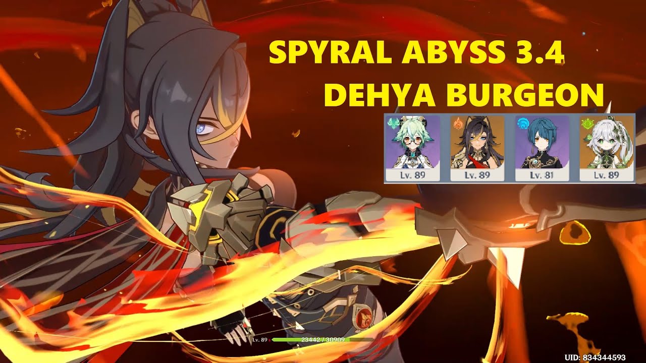 Dehya really that bad..? C1R0 Dehya Burgeon 3.4 Spyral Abyss 2nd half ...