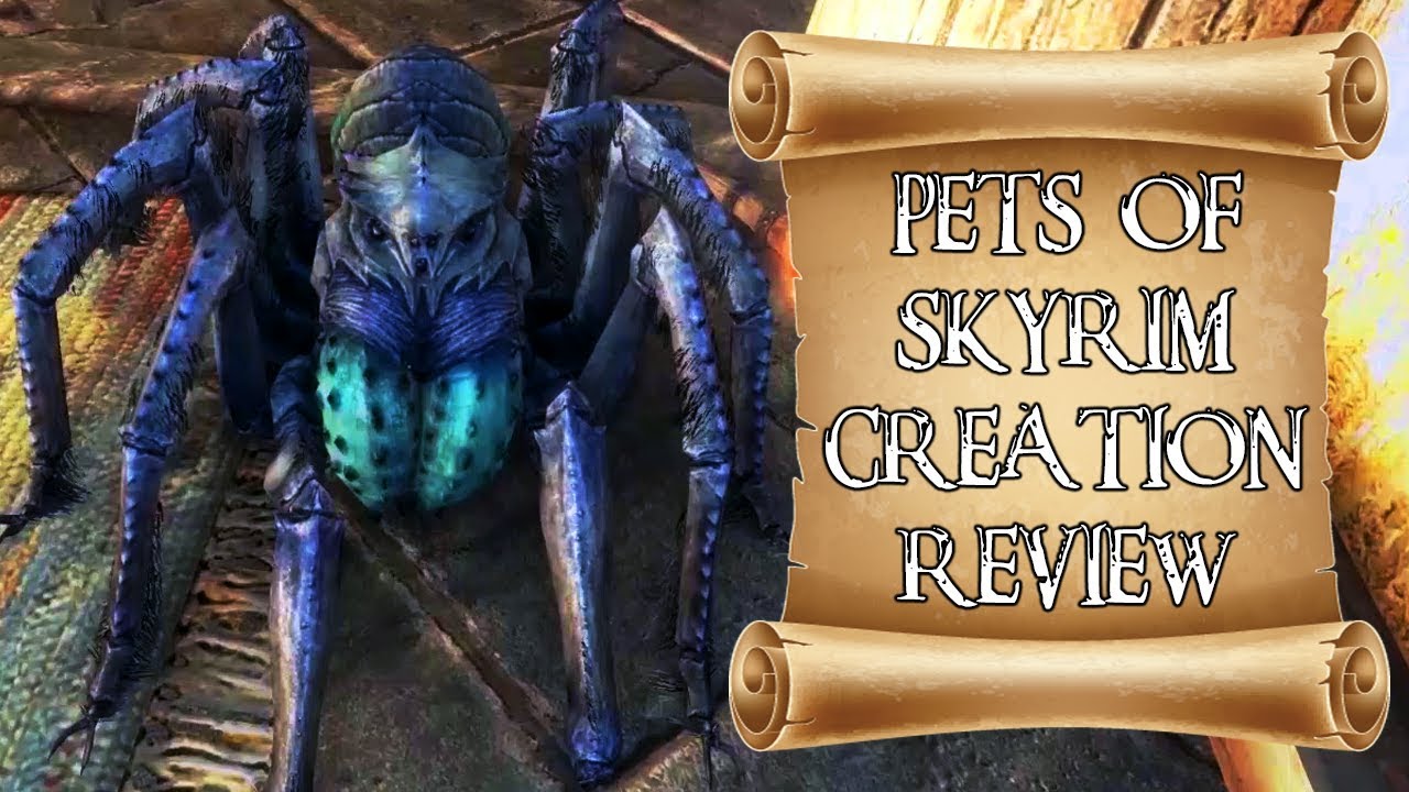 Pets of Skyrim Creation Review! - YouTube