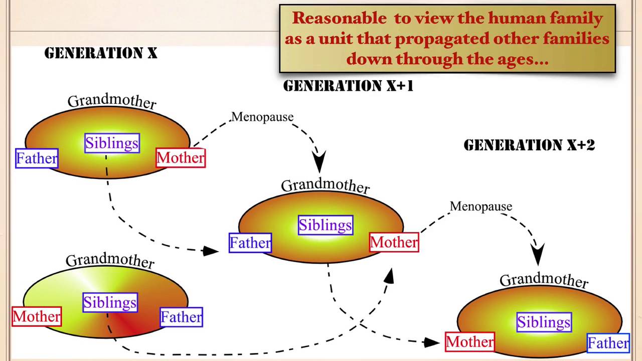 Systems & Systems Engineering – Ape Ascending - YouTube