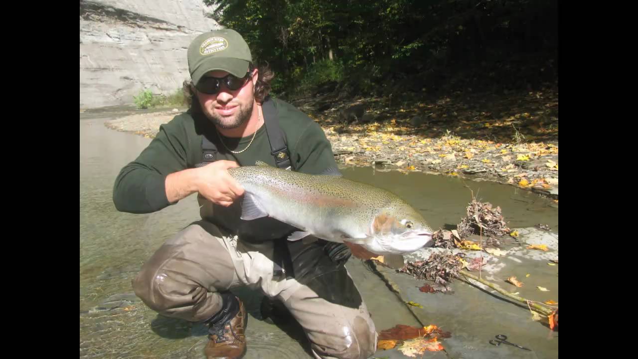 Fly Fishing Steelhead Strike w/ Jump - Elk Creek - YouTube