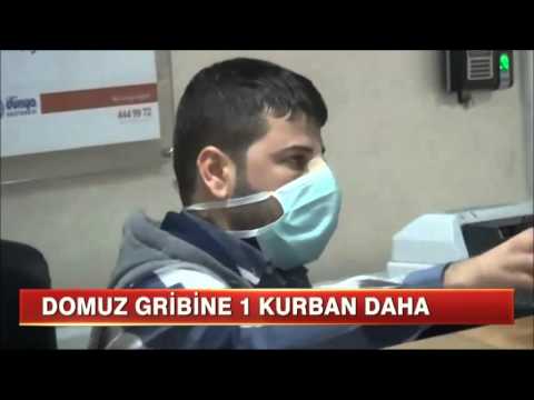 Domuz Gribine Bir Kurban Daha