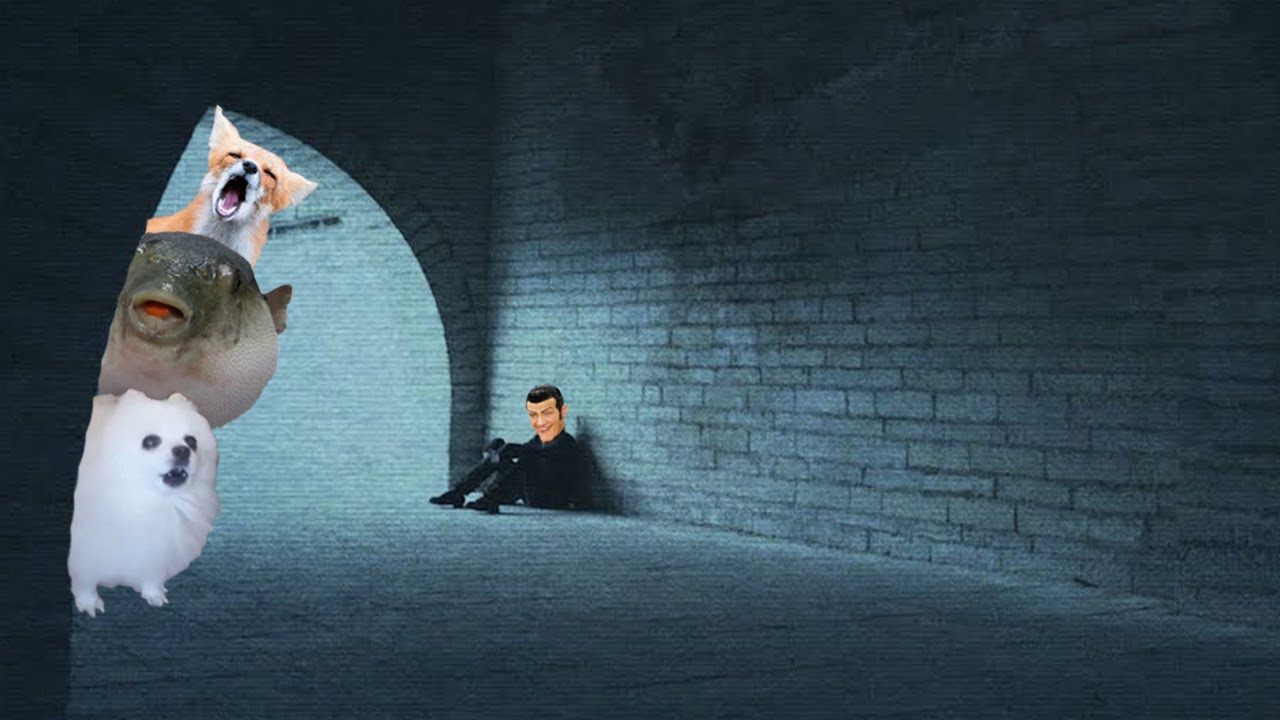 Faded by Alan Walker - Meme Cover - YouTube