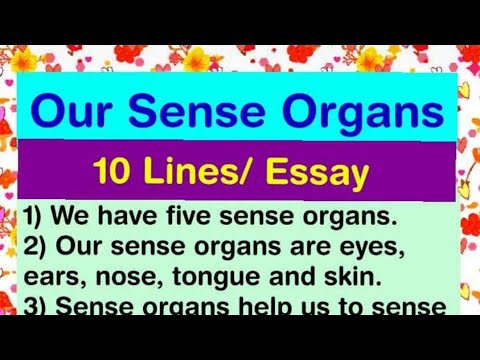 10 Lines on Sense Organs || Our Sense organs || Lines On Our Sense ...