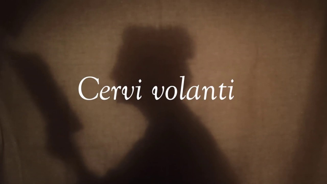 Cervi volanti - YouTube