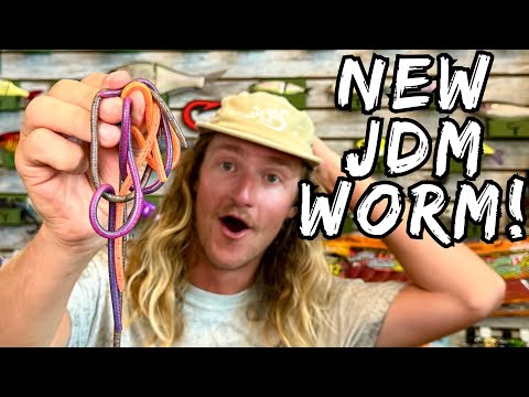 This Japanese Worm Will Take Over The US Market!