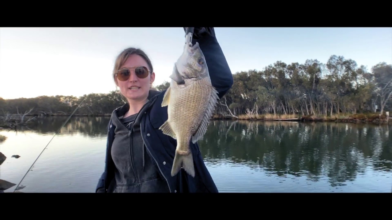 Pinjarra Fishing WA - Black bream adventures - YouTube