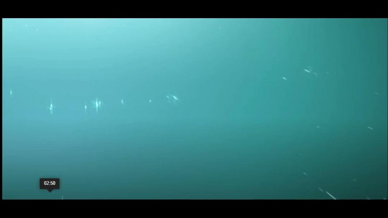 Black Lagoon intro but I click the skip intro button - YouTube