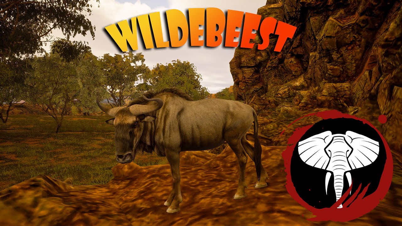 THIS WILD BEAST LIKES TO TROLL! Wildebeest Gameplay -Animalia Survival ...