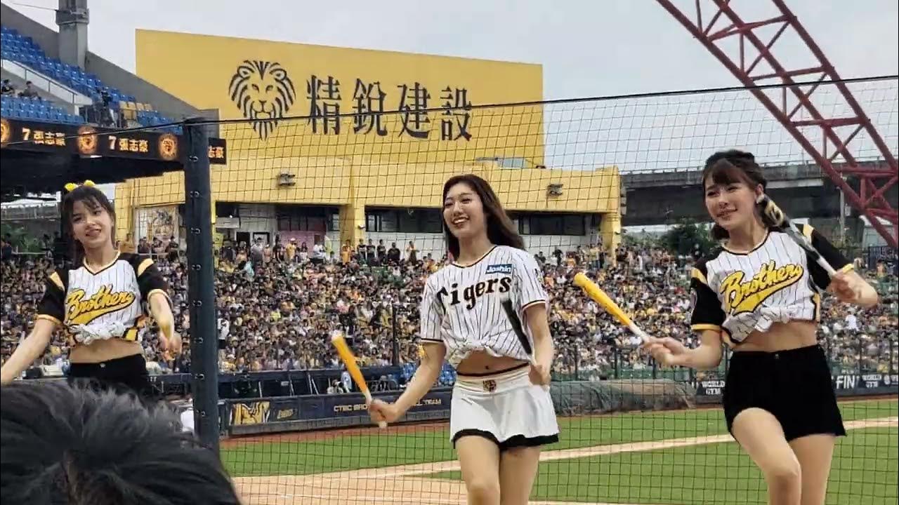 「230610阪神甲子園日」張志豪應援曲（PS 凱蒂、波波ft.Tigersgirls） - YouTube