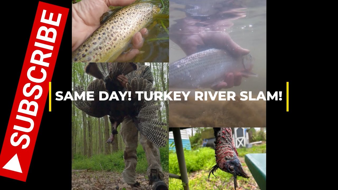 TURKEY HUNT! FLY FISHING! Same day Land and RIVER SUCCESS! - YouTube