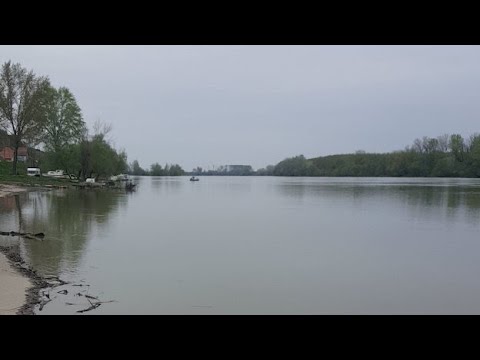 Reka Tisa / The river Tisza / Titel, 05. 04. 2023. - YouTube