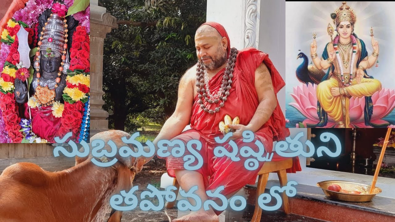 Subramaniyam Sasthi Pooja in Sri Sacchidananda Tuni tapovanam ...