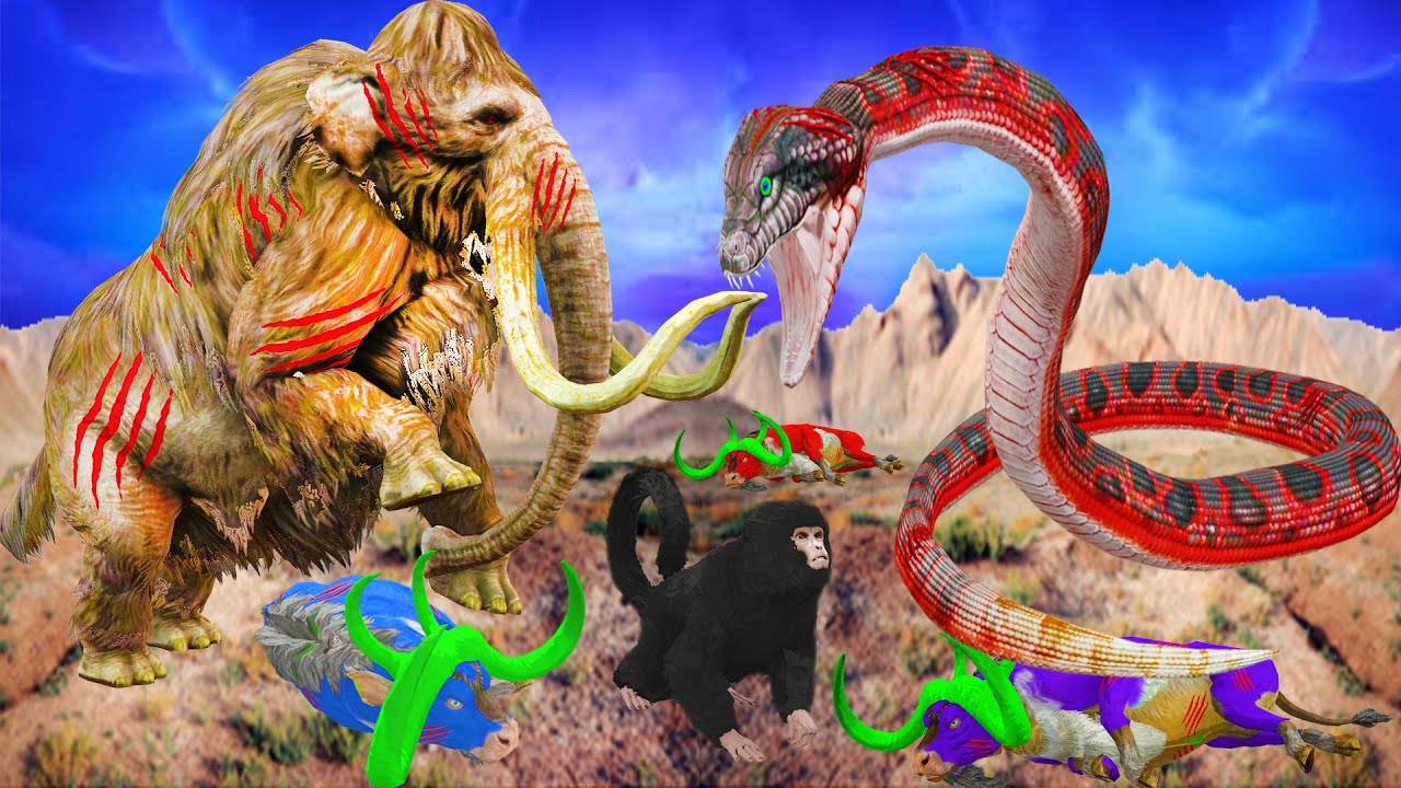 Woolly Mammoth, Zombie Bulls Vs Titanoboa Snake Fight | Mammoth Save ...