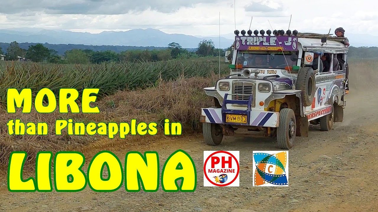 MORE than Pineapples in LIBONA - YouTube