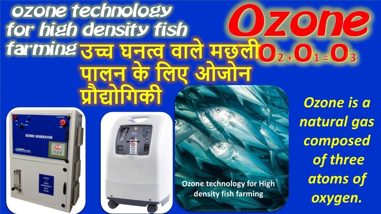 उच्च घनत्व वाले मछली पालन के लिए ओजोन प्रौद्योगिकी ozone technology for ...