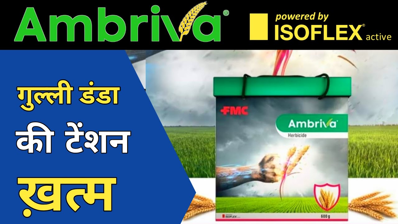 👉FMC Launches Ambriva😍इसके आगे सब फेल 👊 - YouTube