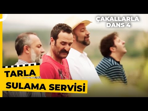 Her Hareketimiz Bir Bizim | Çakallarla Dans 4
