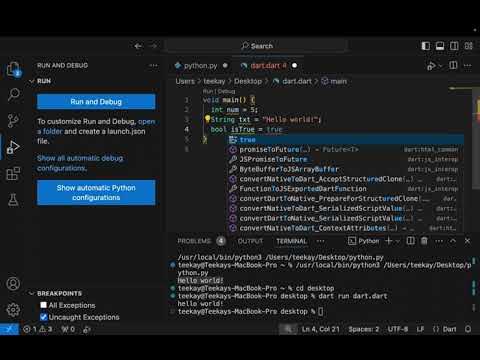 Dart vs Python: Variables & Data Types Explained - Episode 2 - YouTube