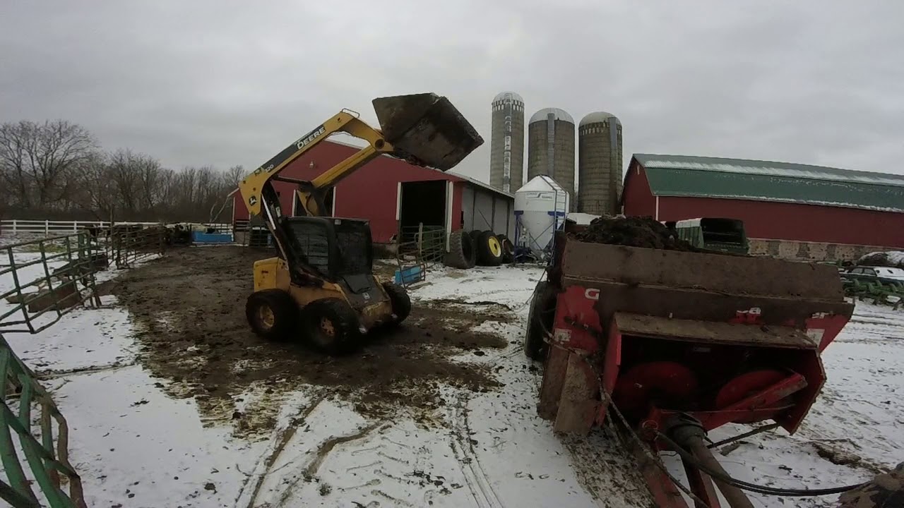 Cleaning barn and feeding cows - YouTube