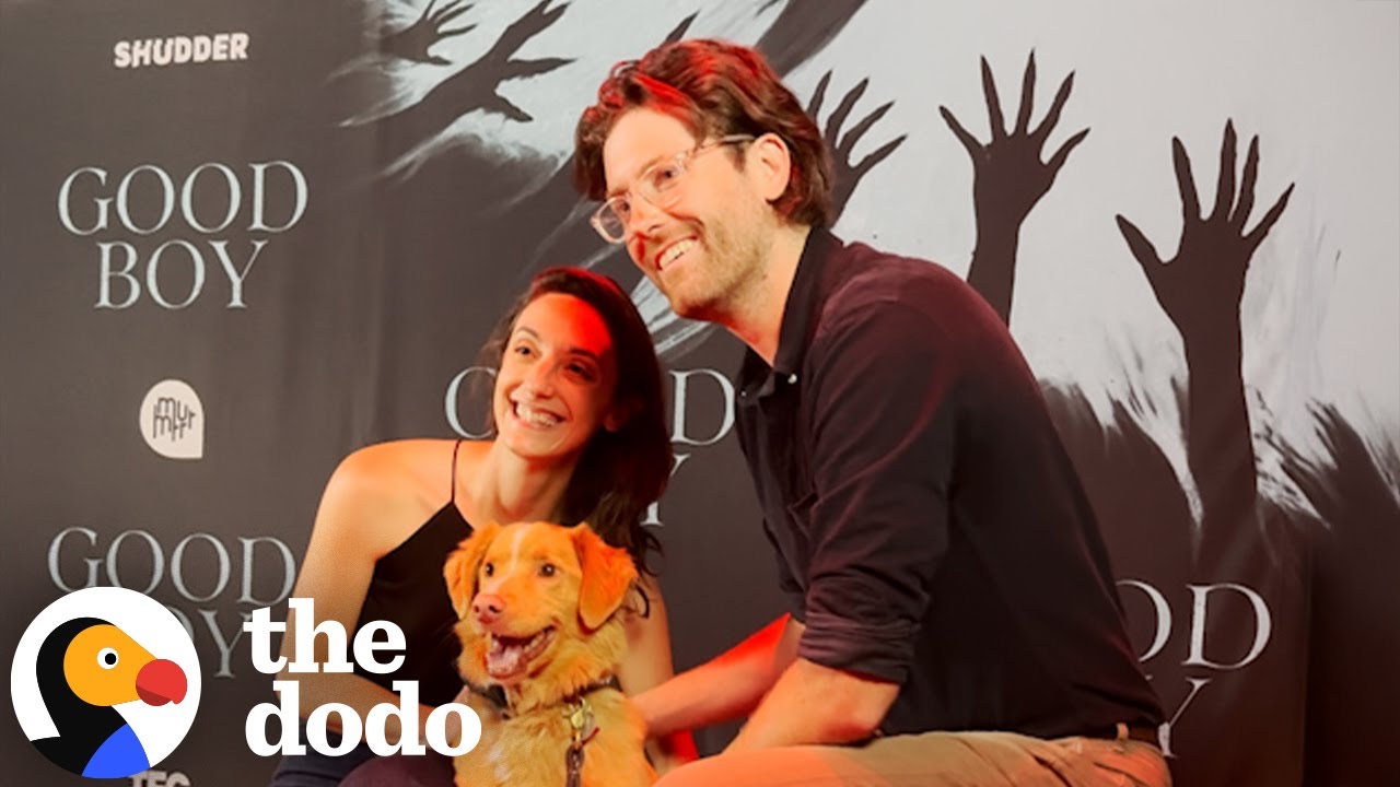 We Hung Out With A (Dog) Movie Star And His Filmmaker Parents | The ...