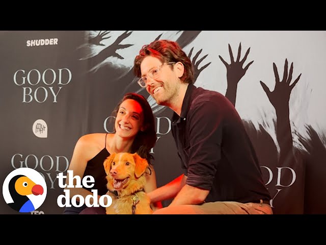 We Hung Out With A (Dog) Movie Star And His Filmmaker Parents | The ...