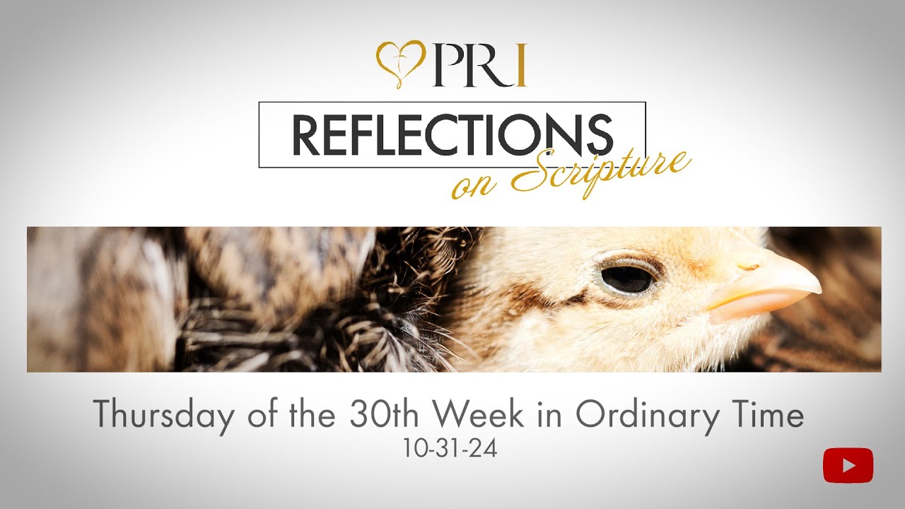 PRI Reflections on Scripture | Thursday of the 30th Week in Ordinary ...