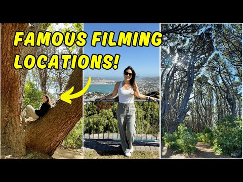 Fascinating Lord of the Rings and Weta Workshop Tour in Wellington, NZ!