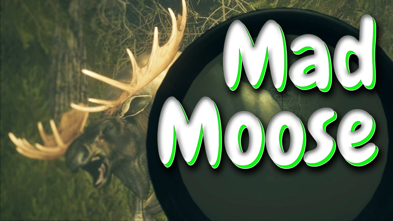 Mad Moose! - theHunter™: Call of the Wild Moose Moose Attack - YouTube